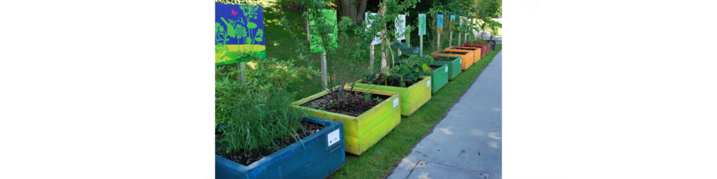 Info- und Netzwerkabend: sevengardens // 10. November // VERSCHOBEN - Das W